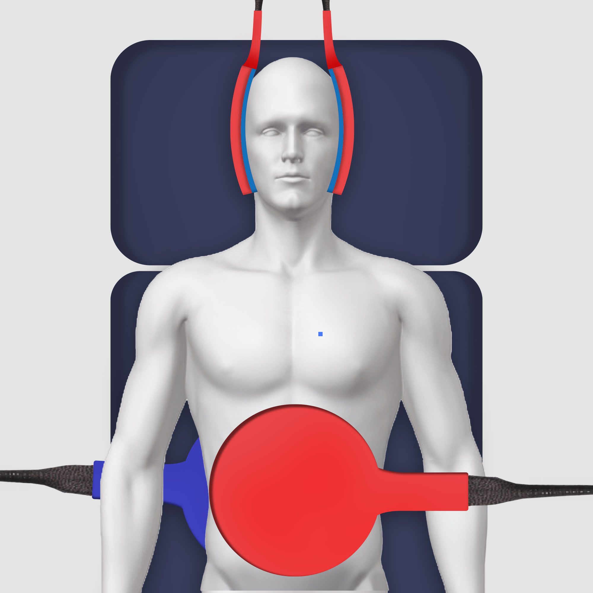 Patented Antennas - Electrodes - Andromedic Hyperthermia